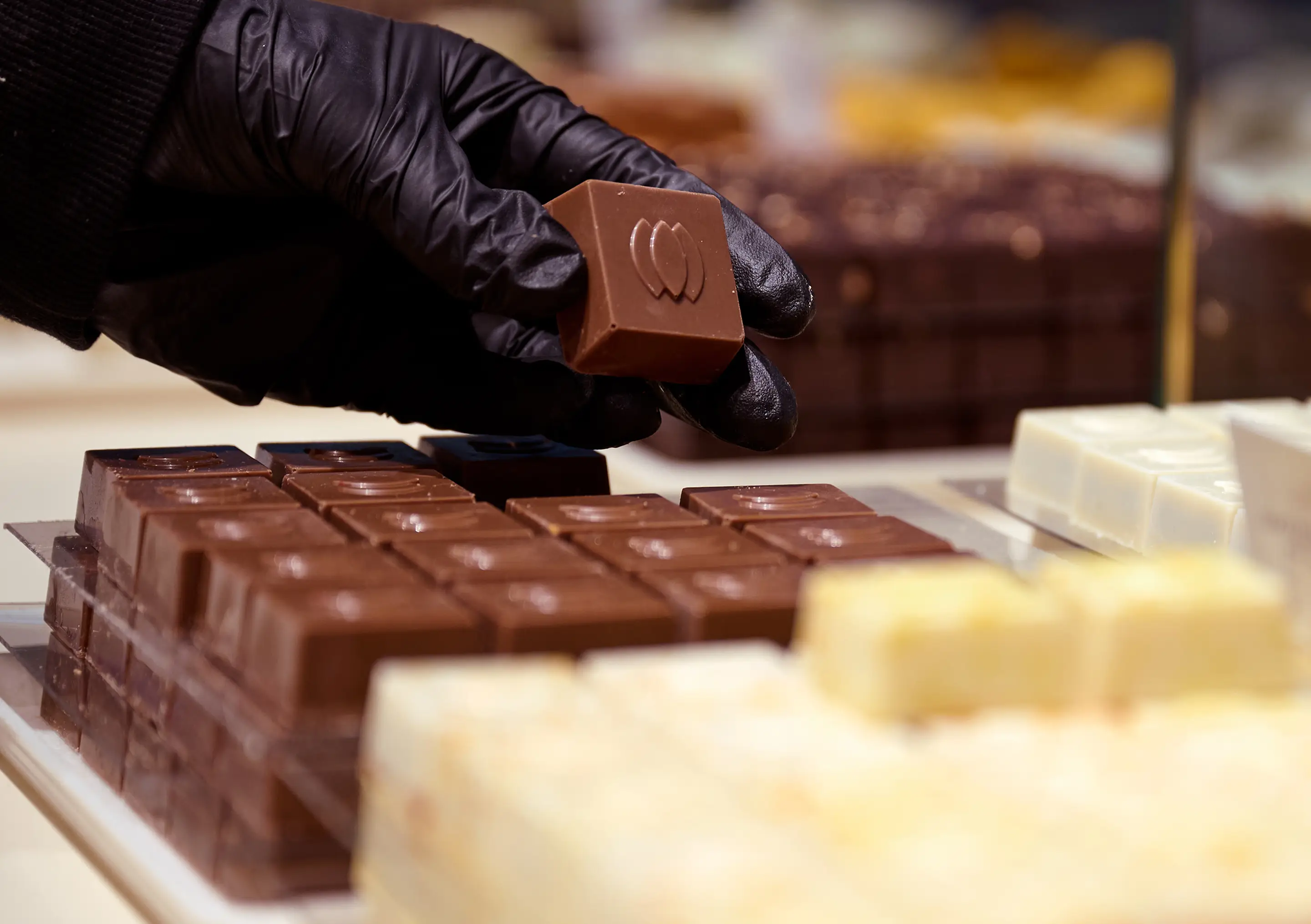 Schiphol | Coco en Sebas