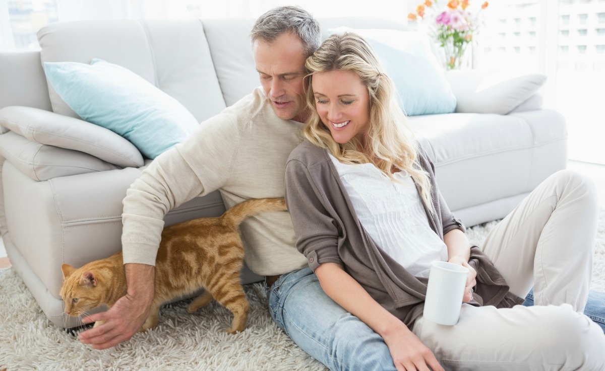 Essential steps for selling a home with pets | Opendoor