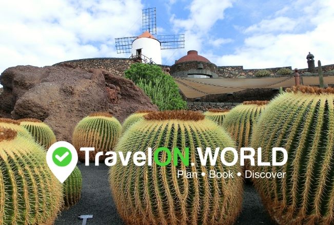 Stories of our clients: TravelON World