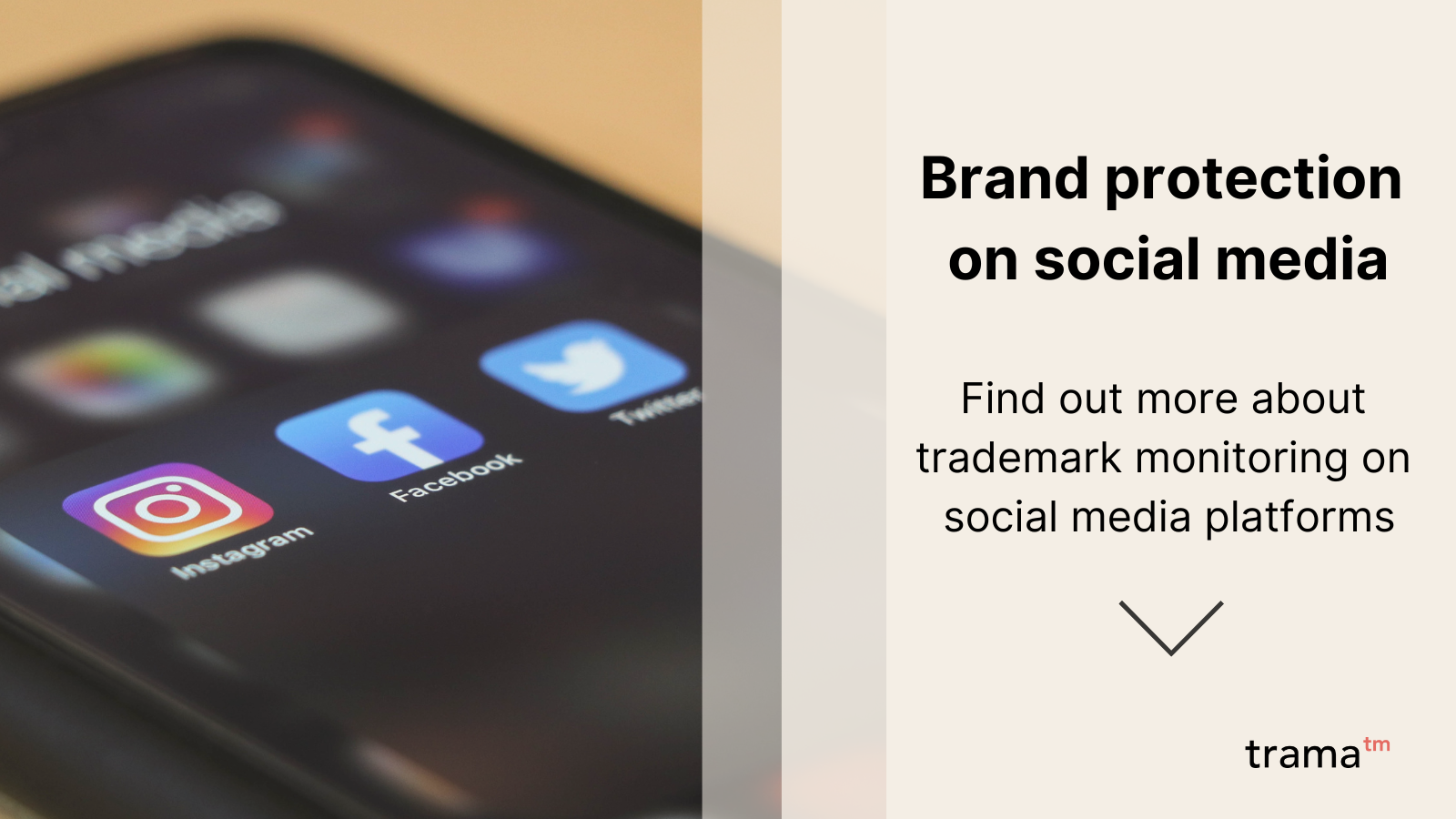 Social media regulations for brand infringement monitoring