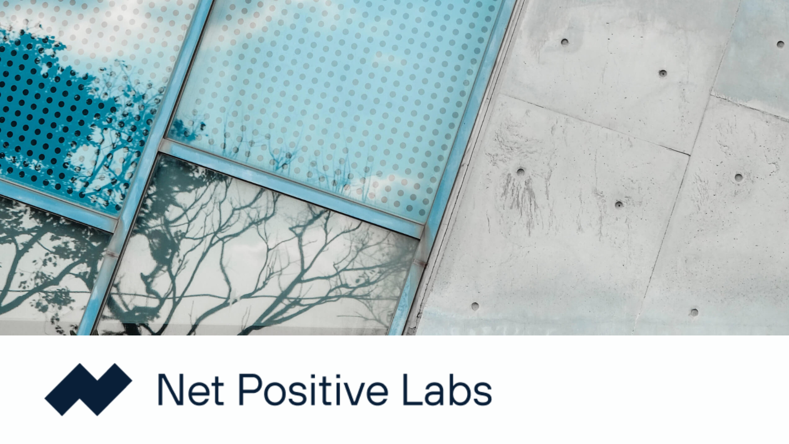 Stories of our clients: Net Positive Labs