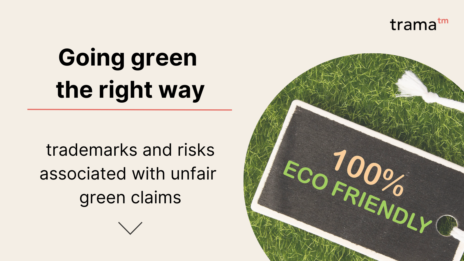 Trademarks and the risk of greenwashing: EU plans new regulation ...