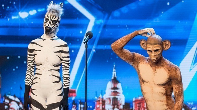 Fancy watching a zebra and a monkey dance? You’re welcome. | Britain's ...