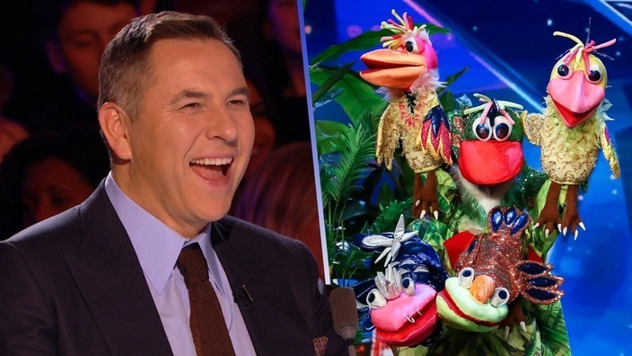 FLYING HIGH: Birds of Paradise bring the PARTY to the BGT stage ...