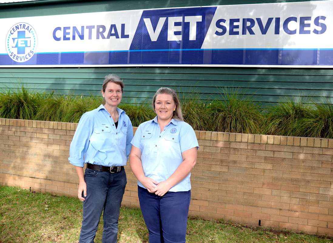 Local Vets Saving Lives | The Cowra Phoenix - Cowra Region News and ...