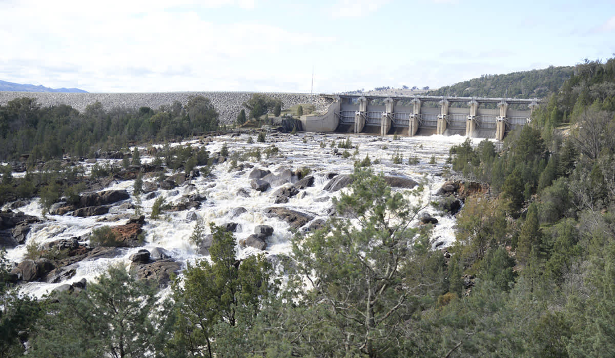 CNSWJO Keeps Wyangala Dam On Federal Govt Radar | The Cowra Phoenix ...