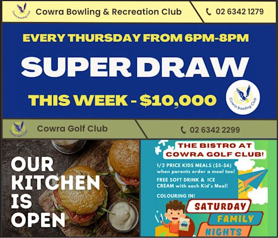 Cowra Netball Carnival A Sizzling Success | The Cowra Phoenix - Cowra ...