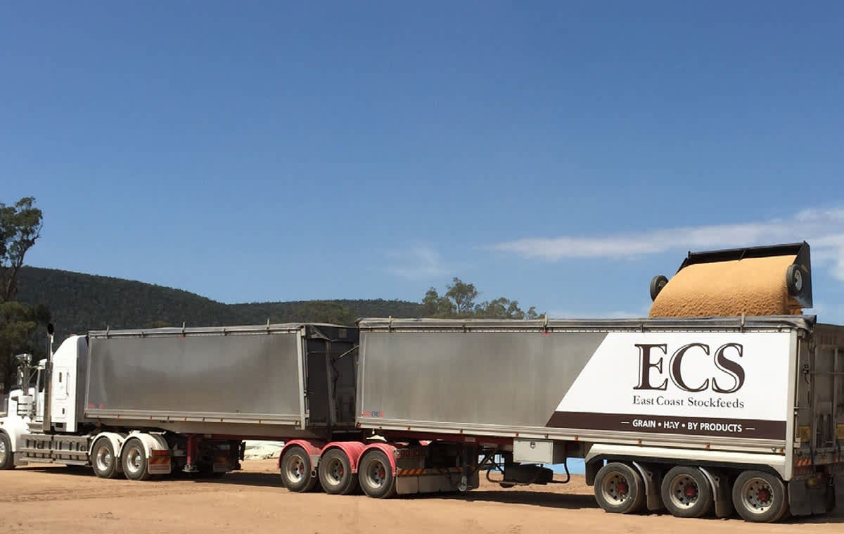 East Coast Stockfeeds Grower Information Afternoon Tomorrow | The Cowra ...
