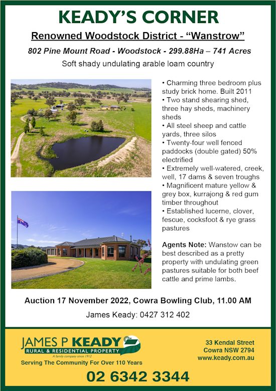 Introducing NDIS Provider Ability Network | The Cowra Phoenix - Cowra Region News and Current ...