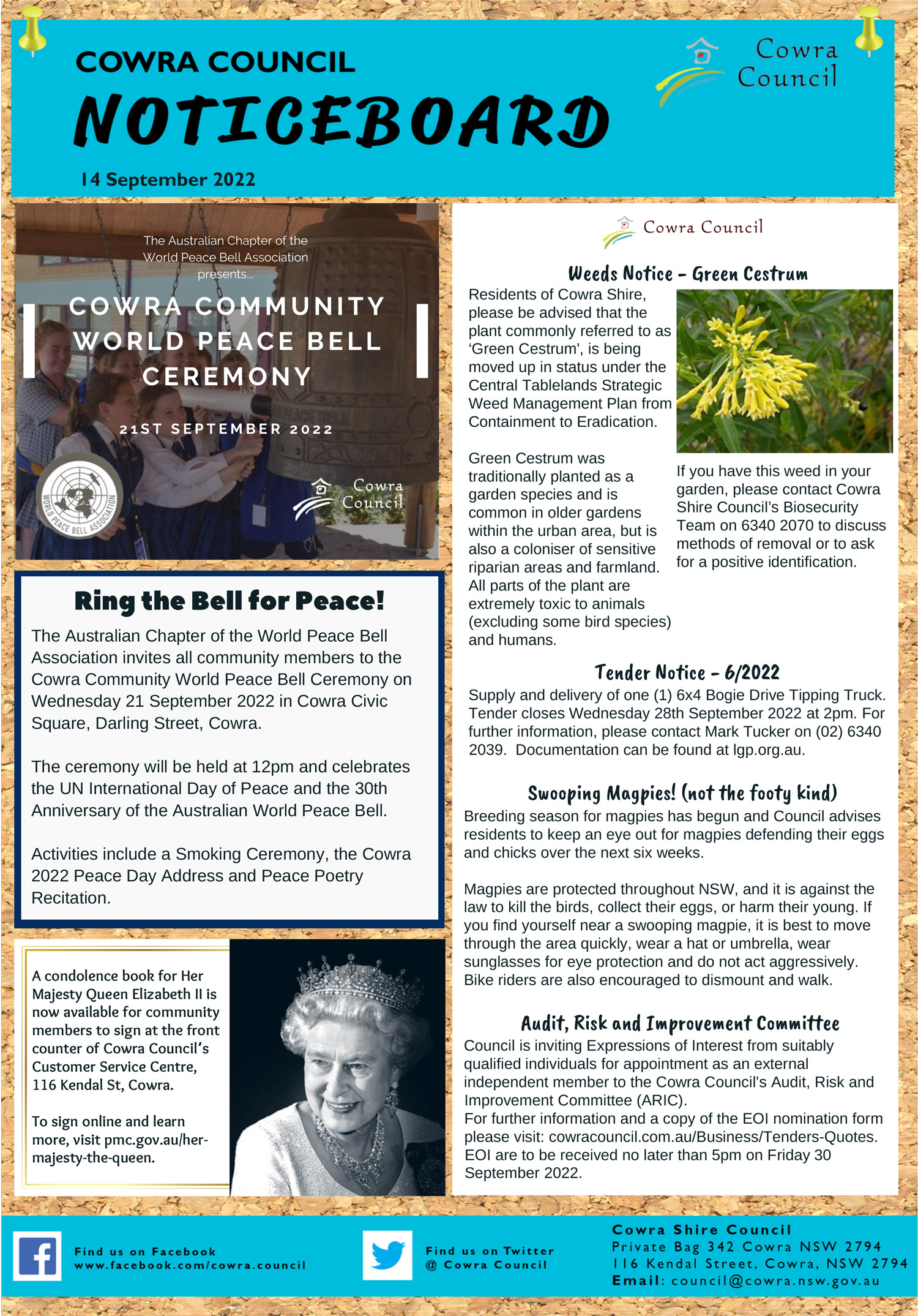 Designs For New $110 Million Cowra Hospital Unveiled | The Cowra ...