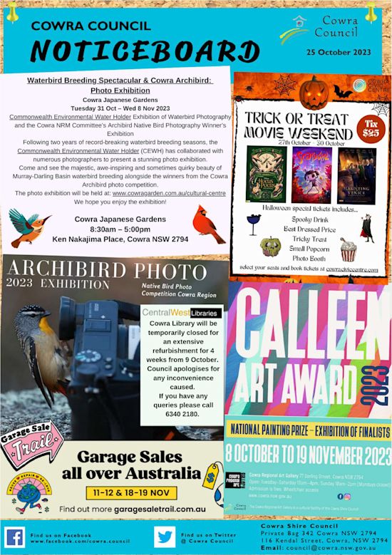 Jump Right In, Cowra Pool Season Is Now Open | The Cowra Phoenix ...