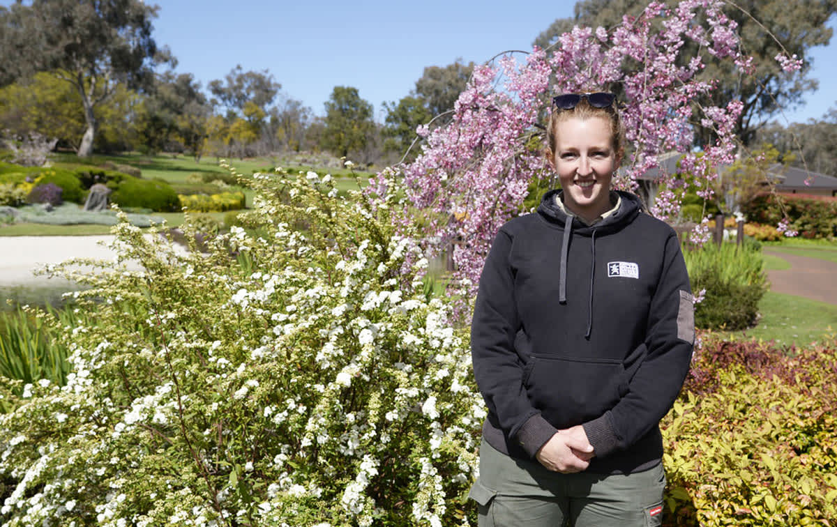Cowra Set For Sakura Matsuri | The Cowra Phoenix - Cowra Region News ...