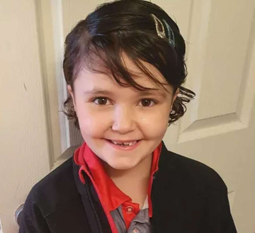 Hazleton Family Lamb Drive A Huge Success | The Cowra Phoenix - Cowra ...