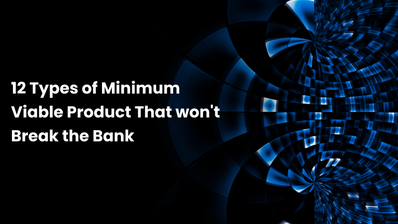 12 Types of Minimum Viable Product That won't Break the Bank
