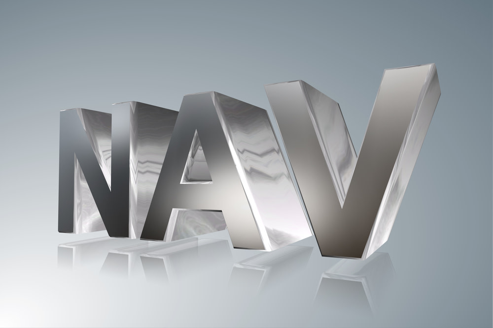 What is Adjusted NAV?