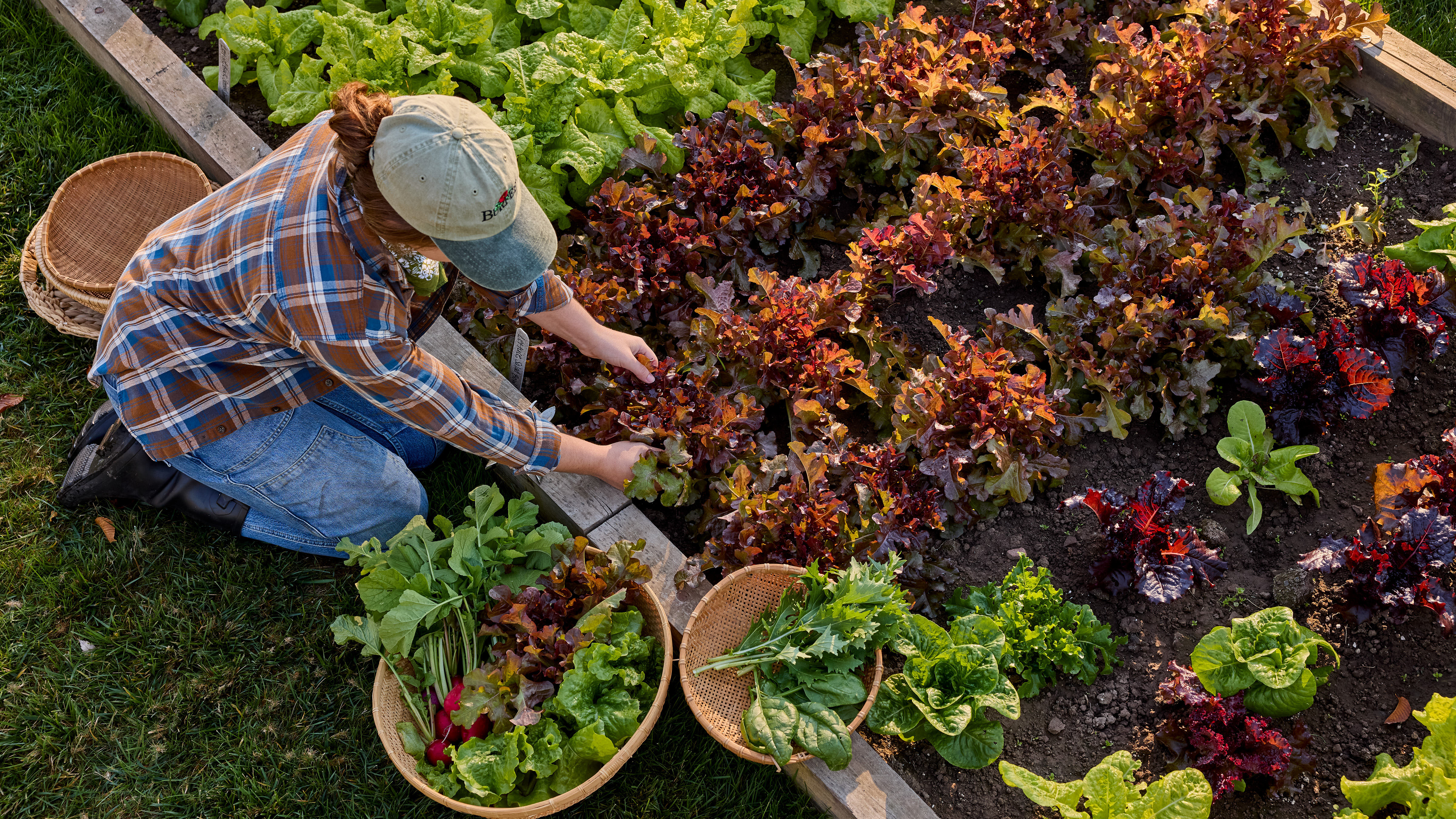 Farmer Planting A Vegetable Garden How To Start A Veggie Garden In