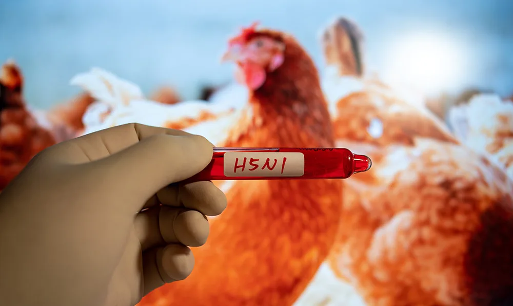 Elsevier healthcare hub