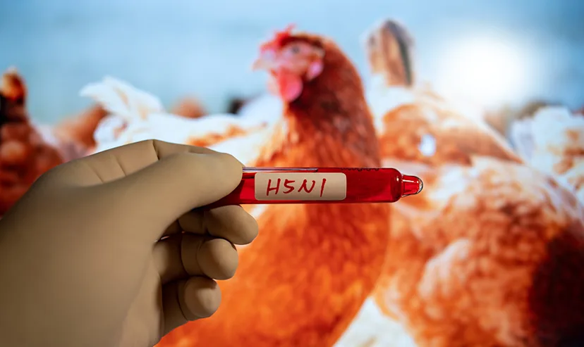 Elsevier healthcare hub