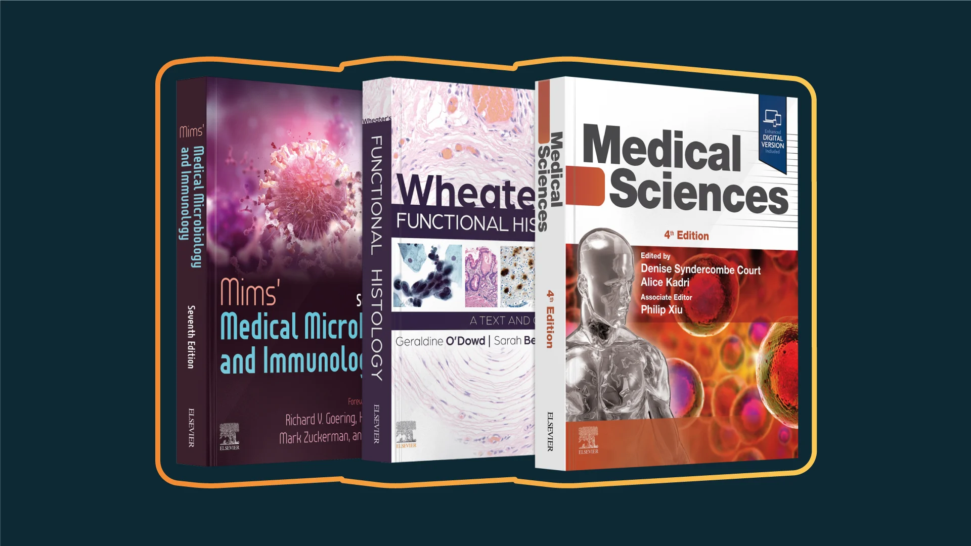 Success at Medical School