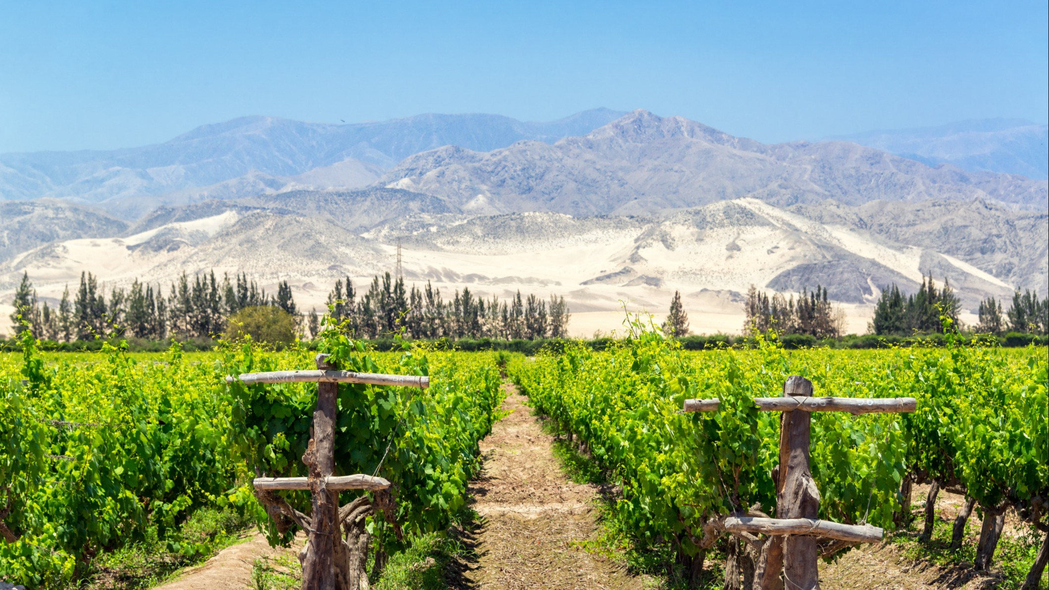 Partez pour un voyage inoubliable à Ica, au Pérou | Tourlane