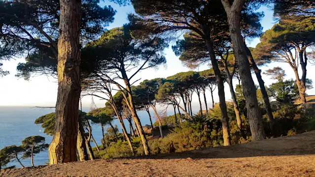 Que voir à Tanger, les incontournables à découvrir | Tourlane