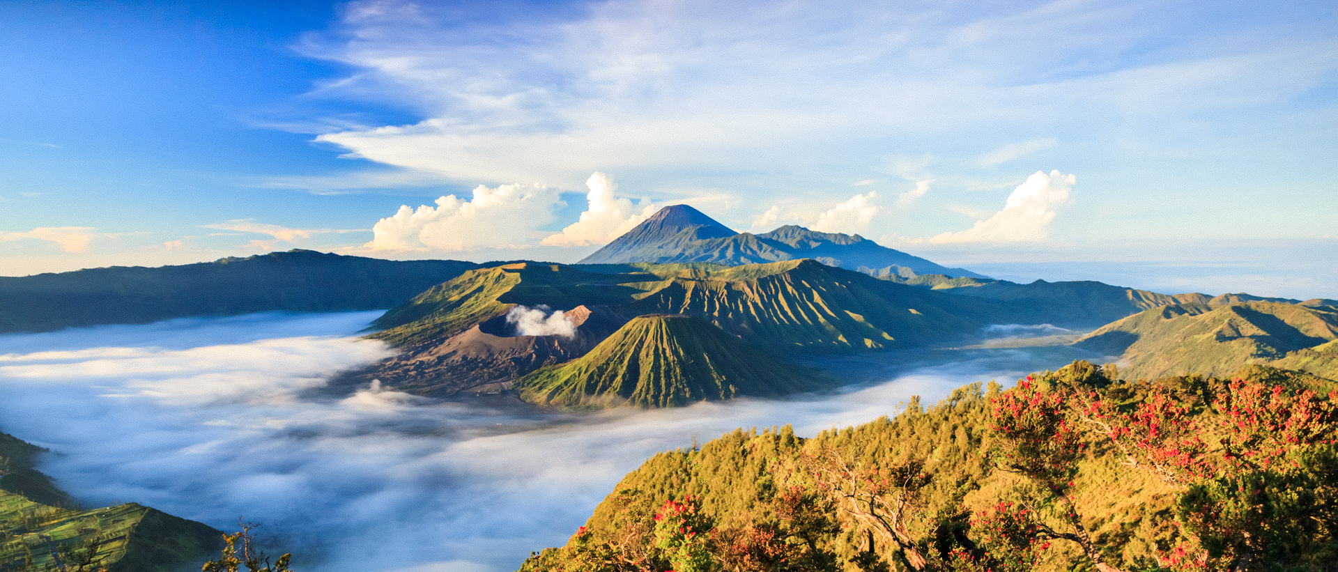 Planen Sie Ihre individuelle Java Reise | Tourlane
