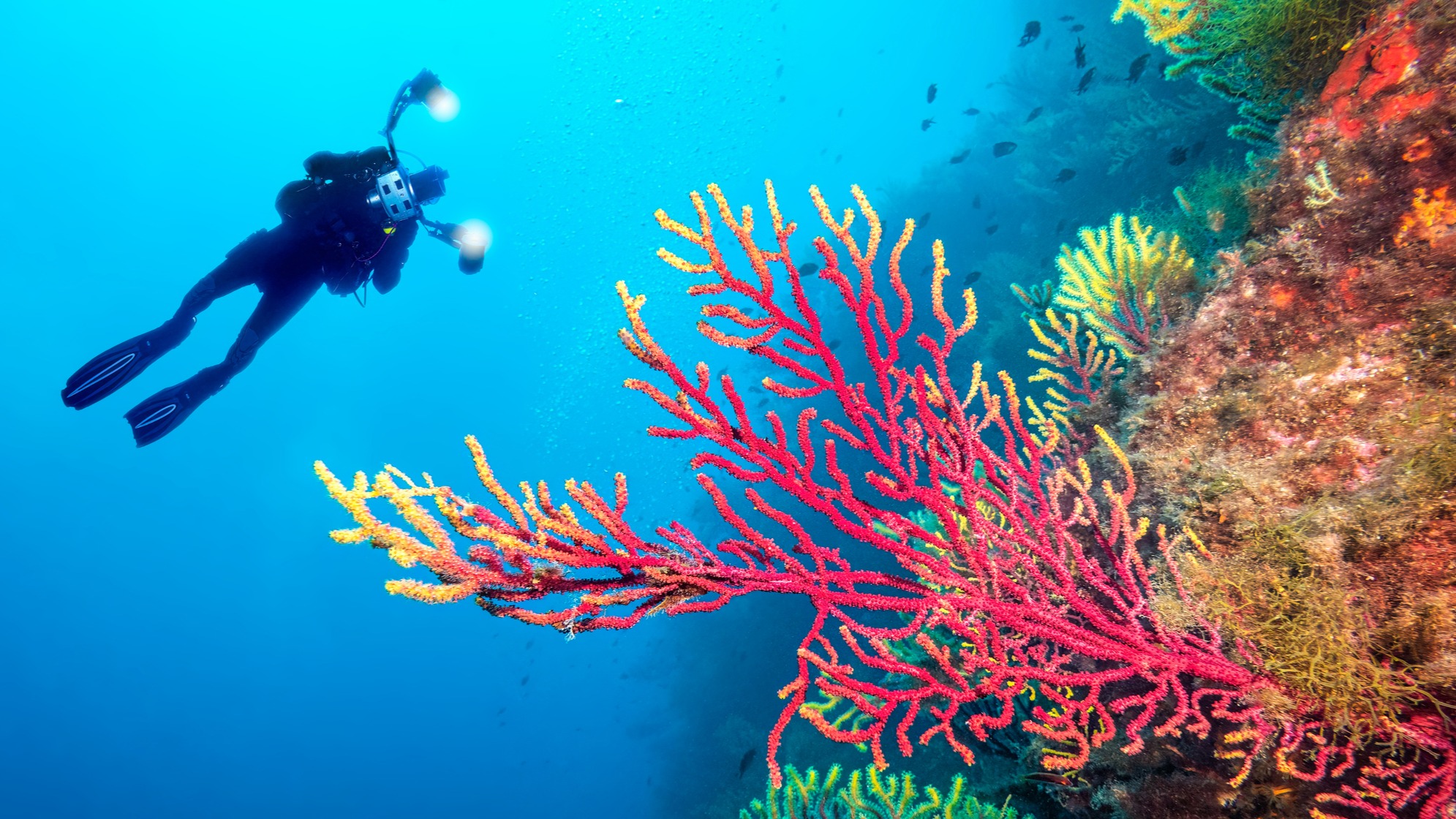 Tauchen & Schnorcheln in Spanien: Tipps & Reiseangebote | Tourlane