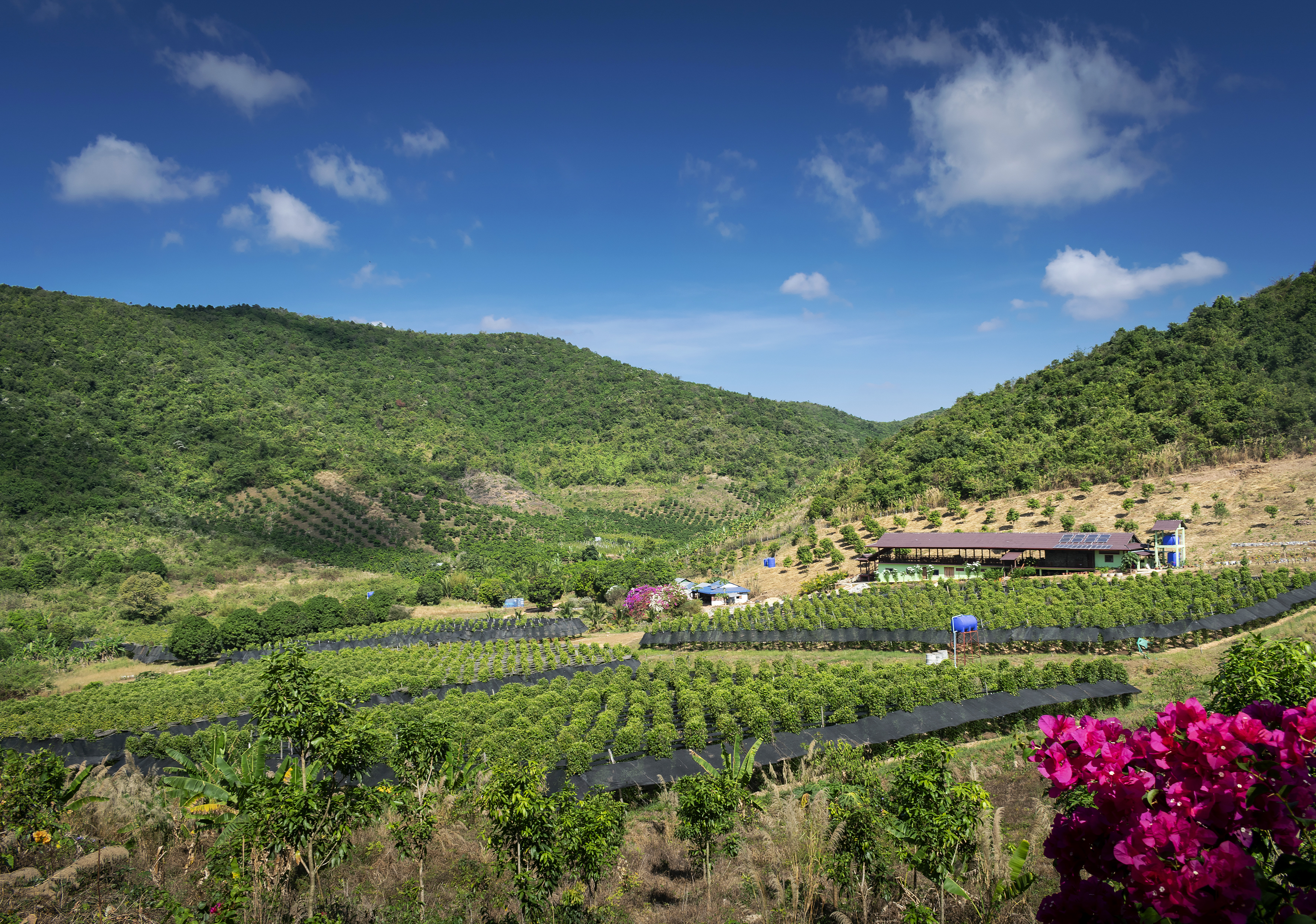 À voir lors de votre voyage à Kampot | Tourlane