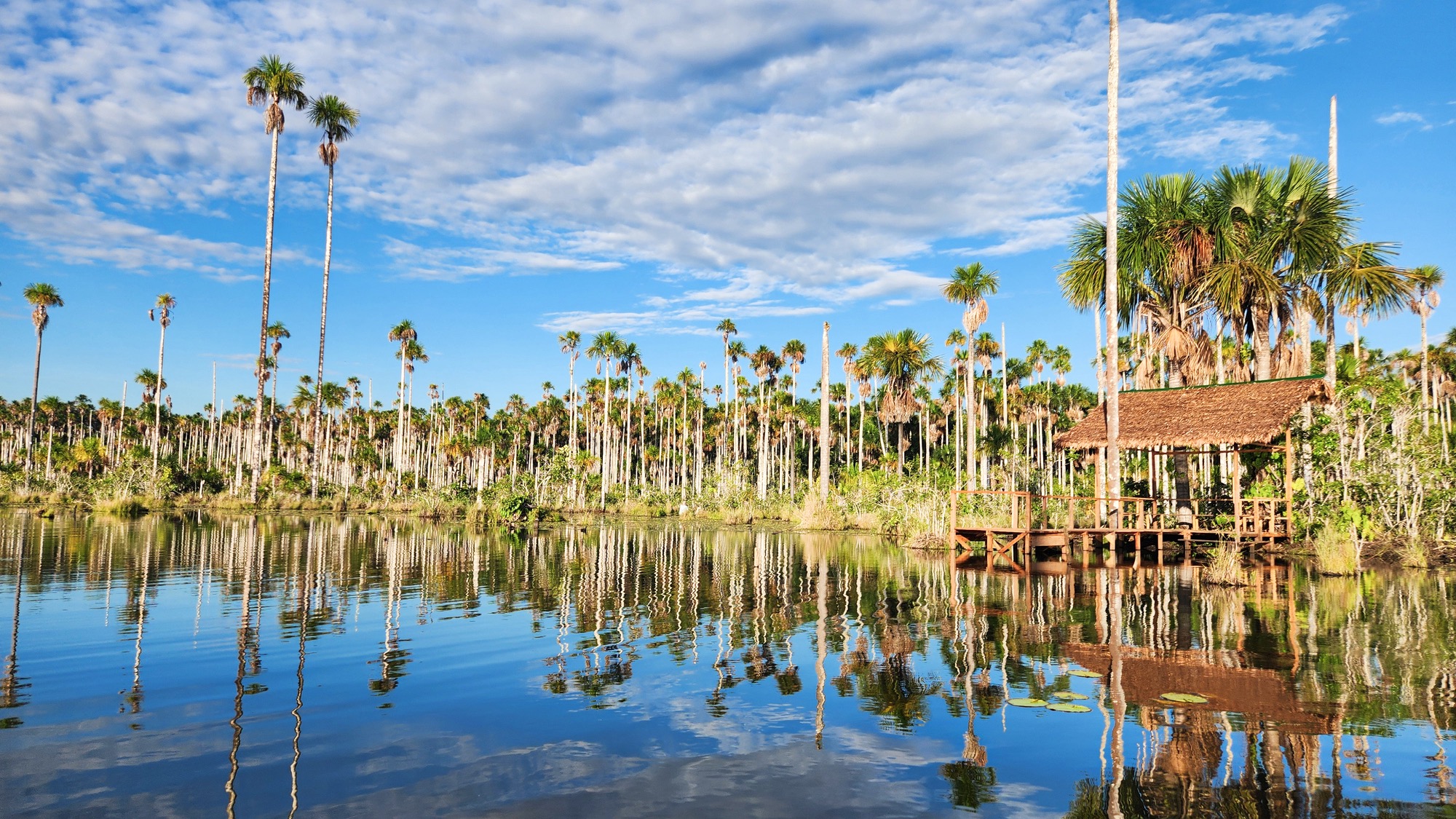 Que voir en séjour à Puerto Maldonado, les incontournables à découvrir ...