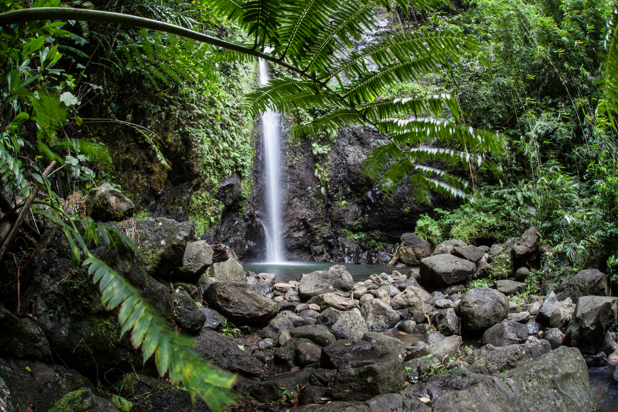 Visiter Raiatea : de nombreuses surprises dans un décor paradisiaque ...