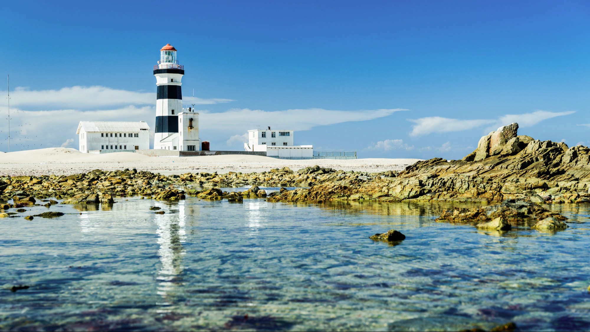 Que voir à Port Elizabeth, les incontournables à découvrir | Tourlane
