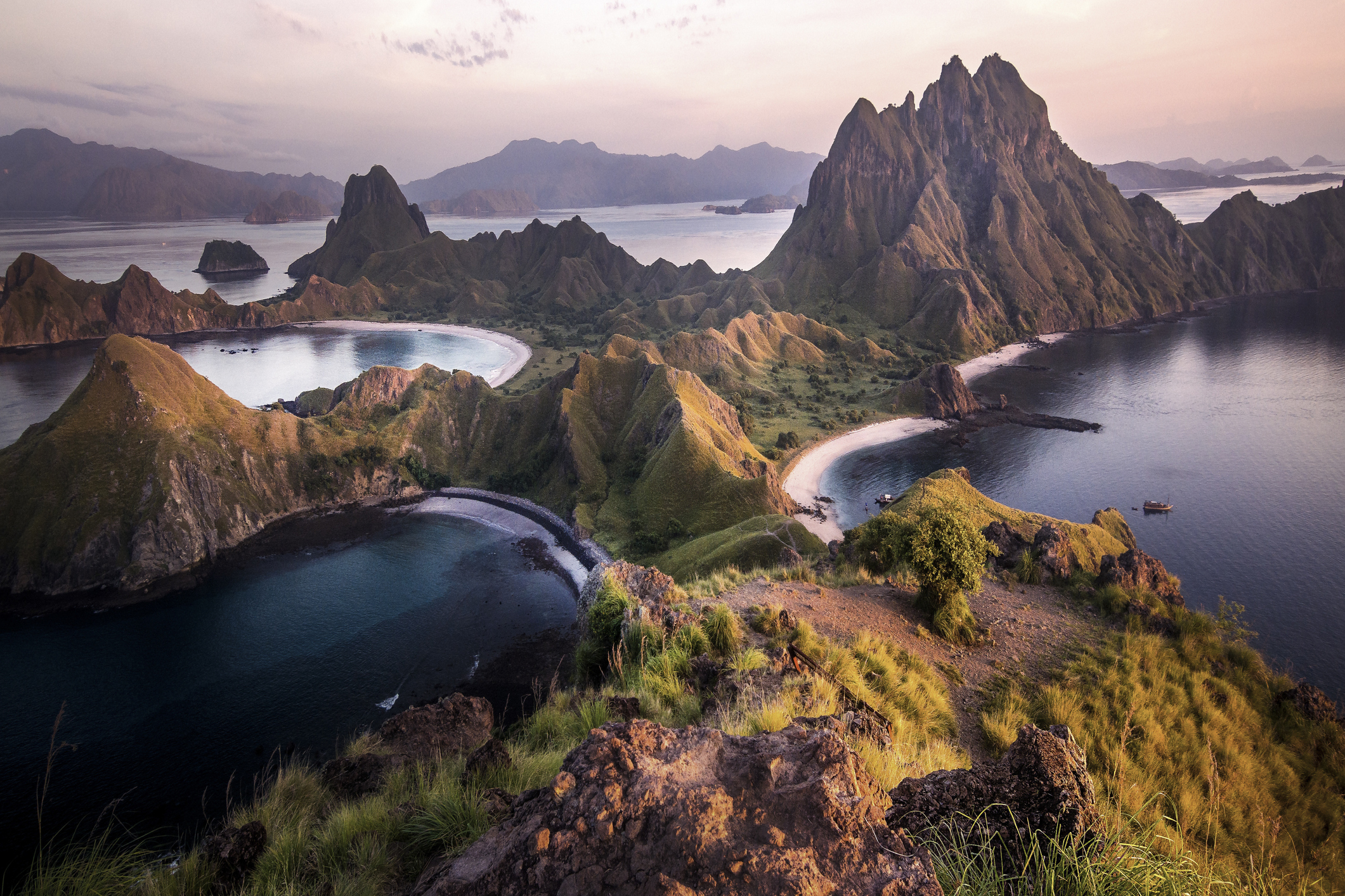 Que faire à Komodo, les incontournables à découvrir | Tourlane