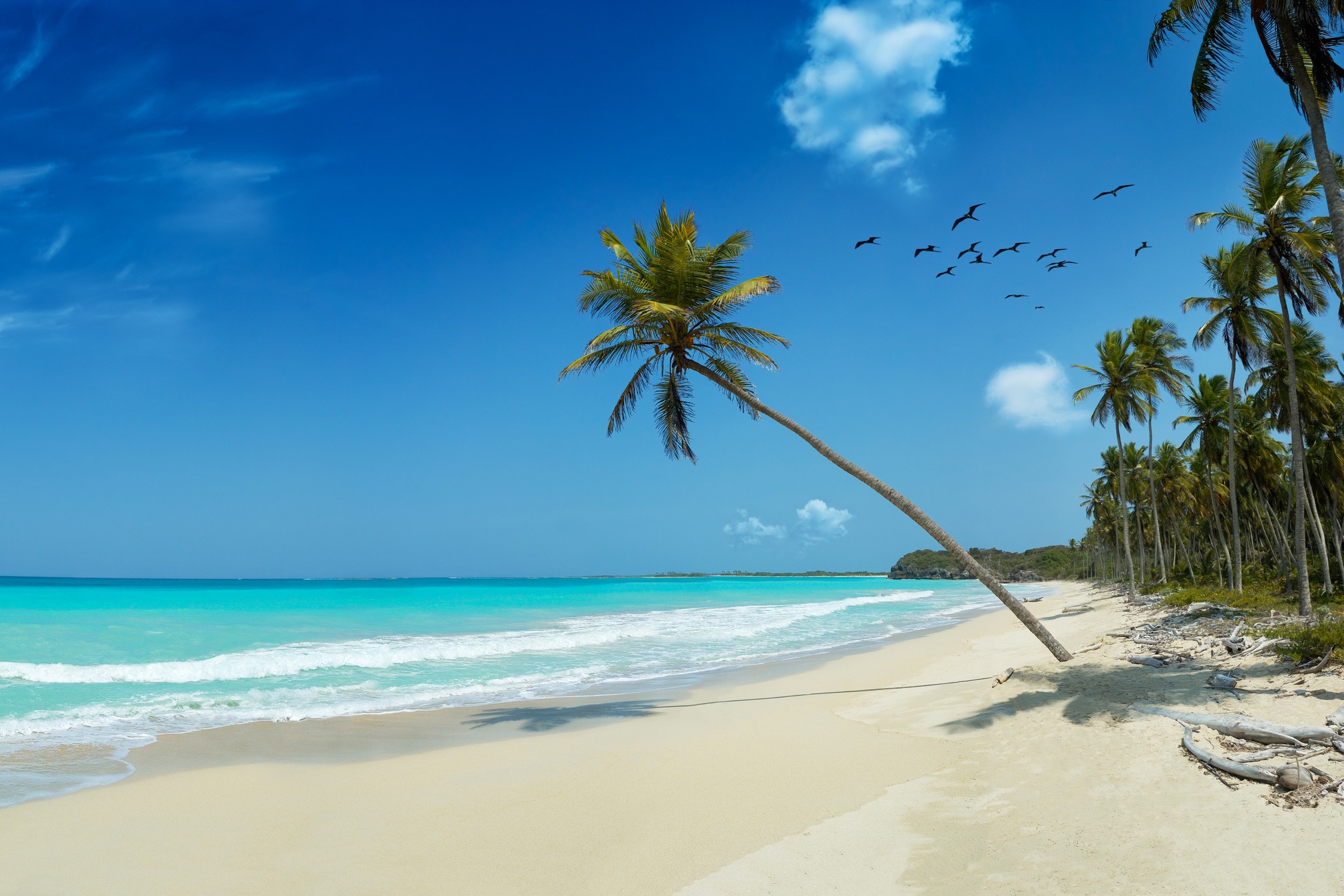 Combiné d'îles aux Bahamas : circuit sur mesure | Tourlane