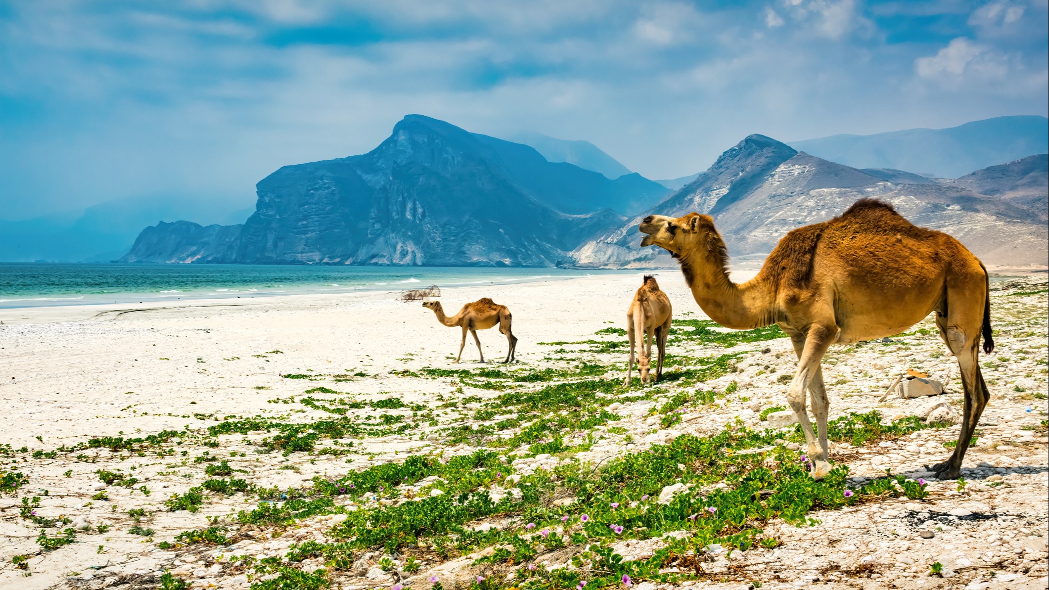 Oman Reisen: Individuelle Reiseplanung & Reisetipps | Tourlane