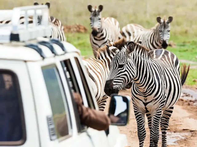 Quel est le prix d'un voyage à Zanzibar ? | Tourlane