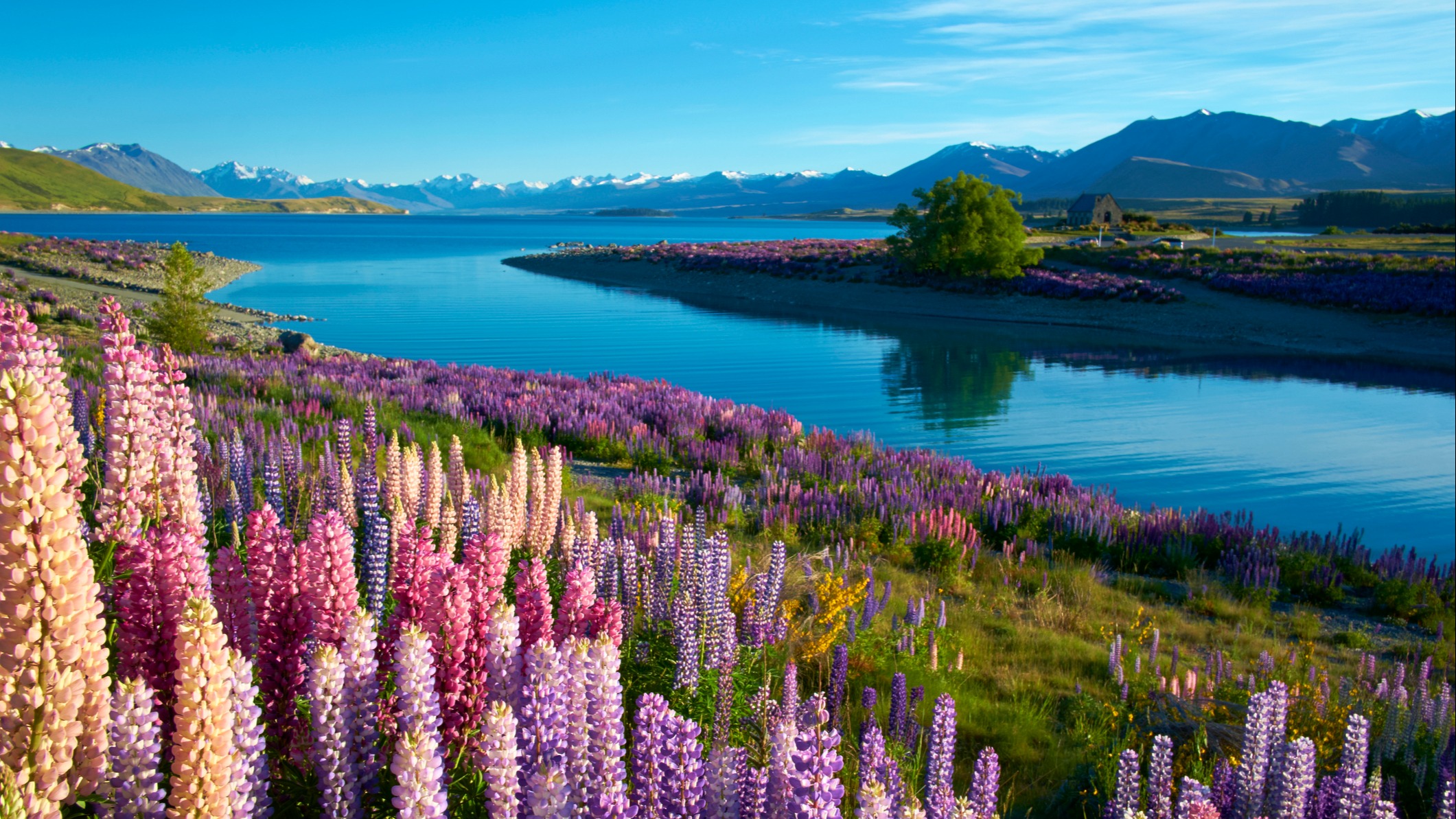 14 Tage Neuseeland Südinsel Reise mit Auto | Tourlane