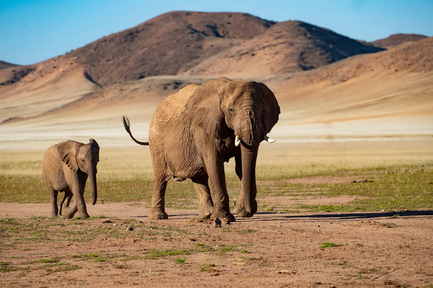 Namibia Reise planen - Individuelle Beratung & Tipps