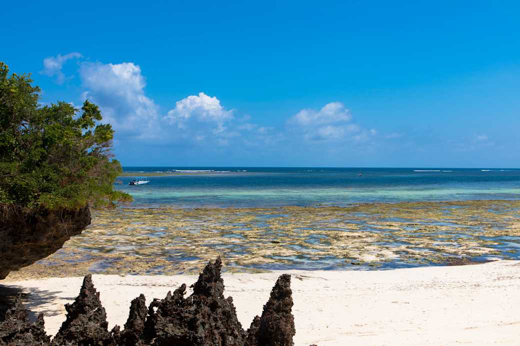 The Best Mombasa Vacations, Tailor-Made | Tourlane The Best Mombasa Vacations, Tailor-Made | Tourlane