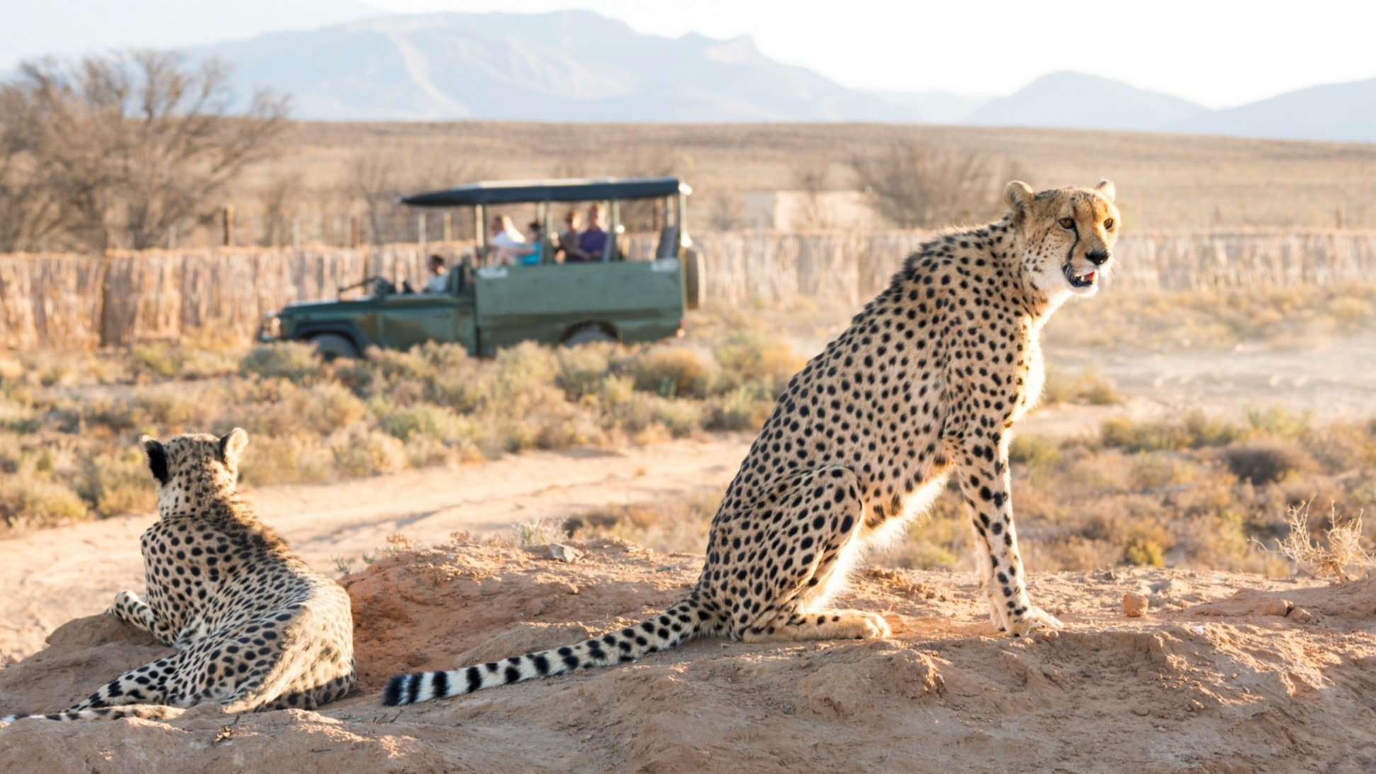 Safari planifié individuellement | Tourlane