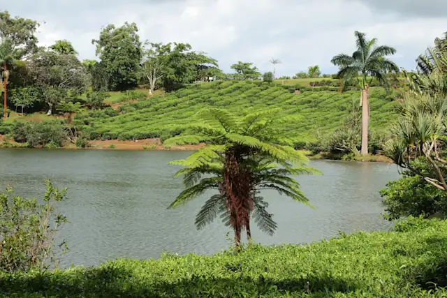 Autotour à l'île Maurice : nos conseils | Tourlane