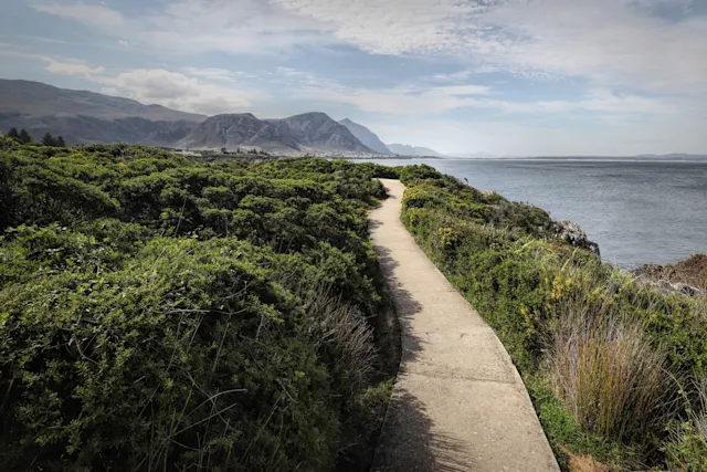 Die Top 5 Sehenswürdigkeiten in Hermanus | Tourlane