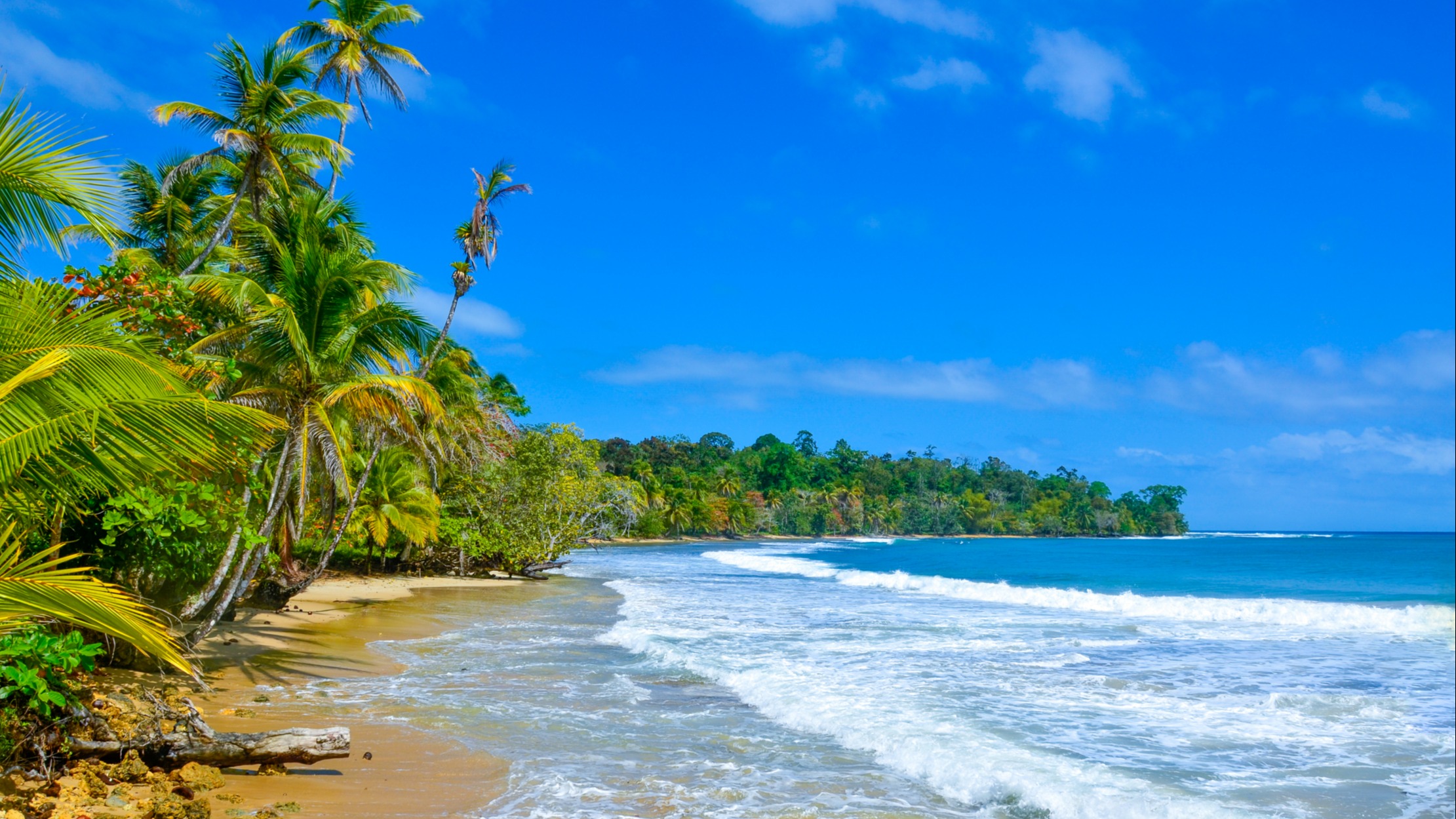 Reisetipps für die Isla Colón | Tourlane