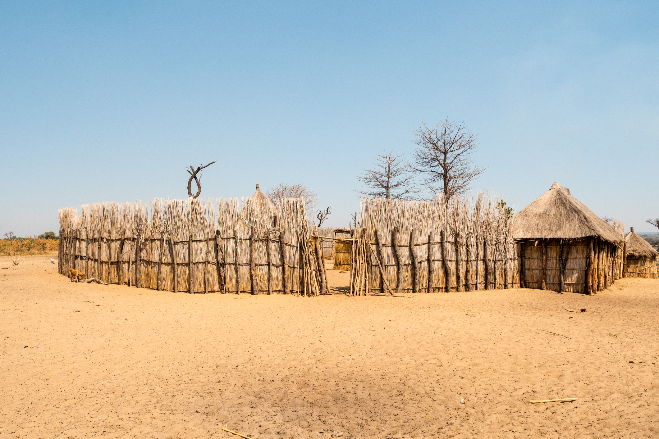 Voyage dans la bande de Caprivi, les incontournables à découvrir | Tourlane