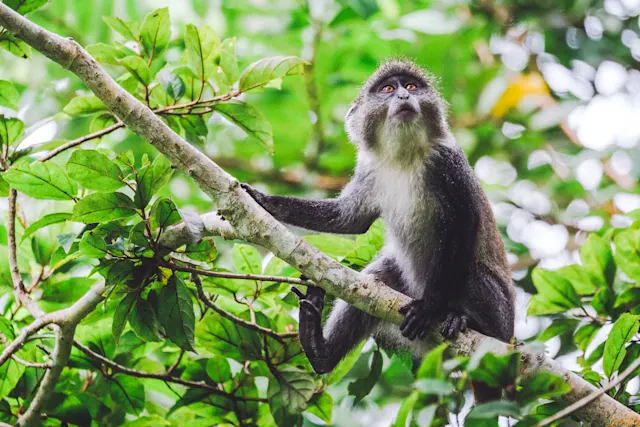 Die Top 5 Sehenswürdigkeiten auf Pemba Island | Tourlane