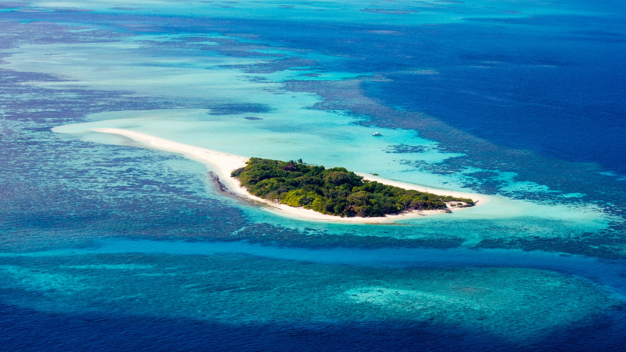 Que voir sur l'Atoll de Dhaalu, les incontournables à découvrir | Tourlane