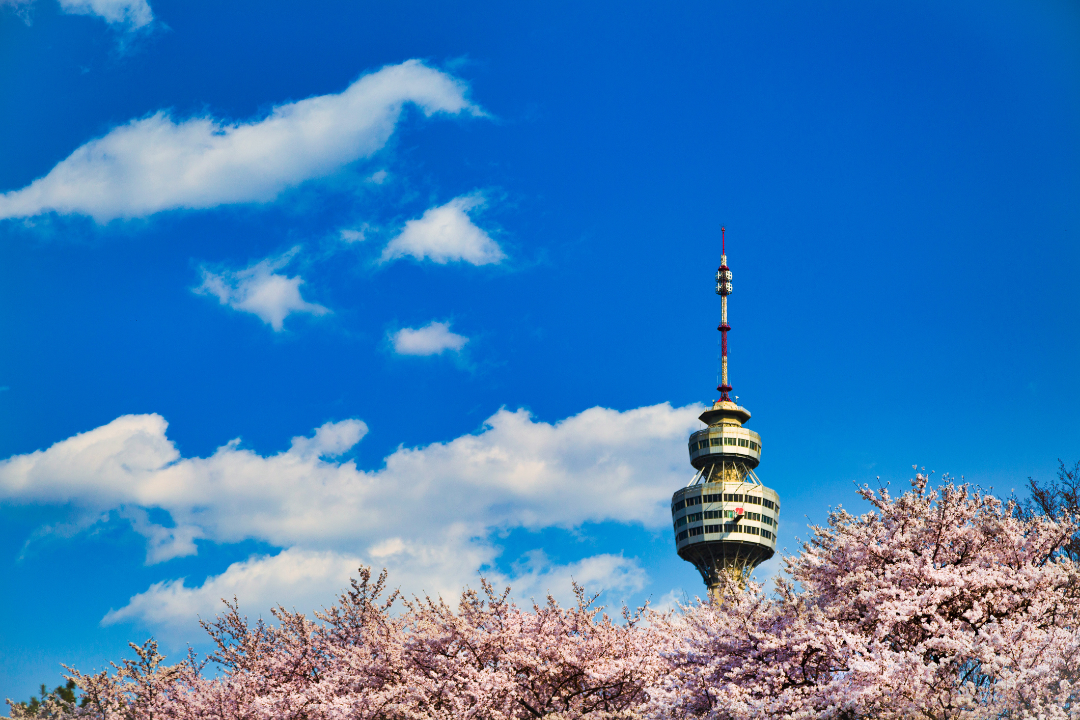 Die Top 10 Sehenswürdigkeiten in Daegu | Tourlane