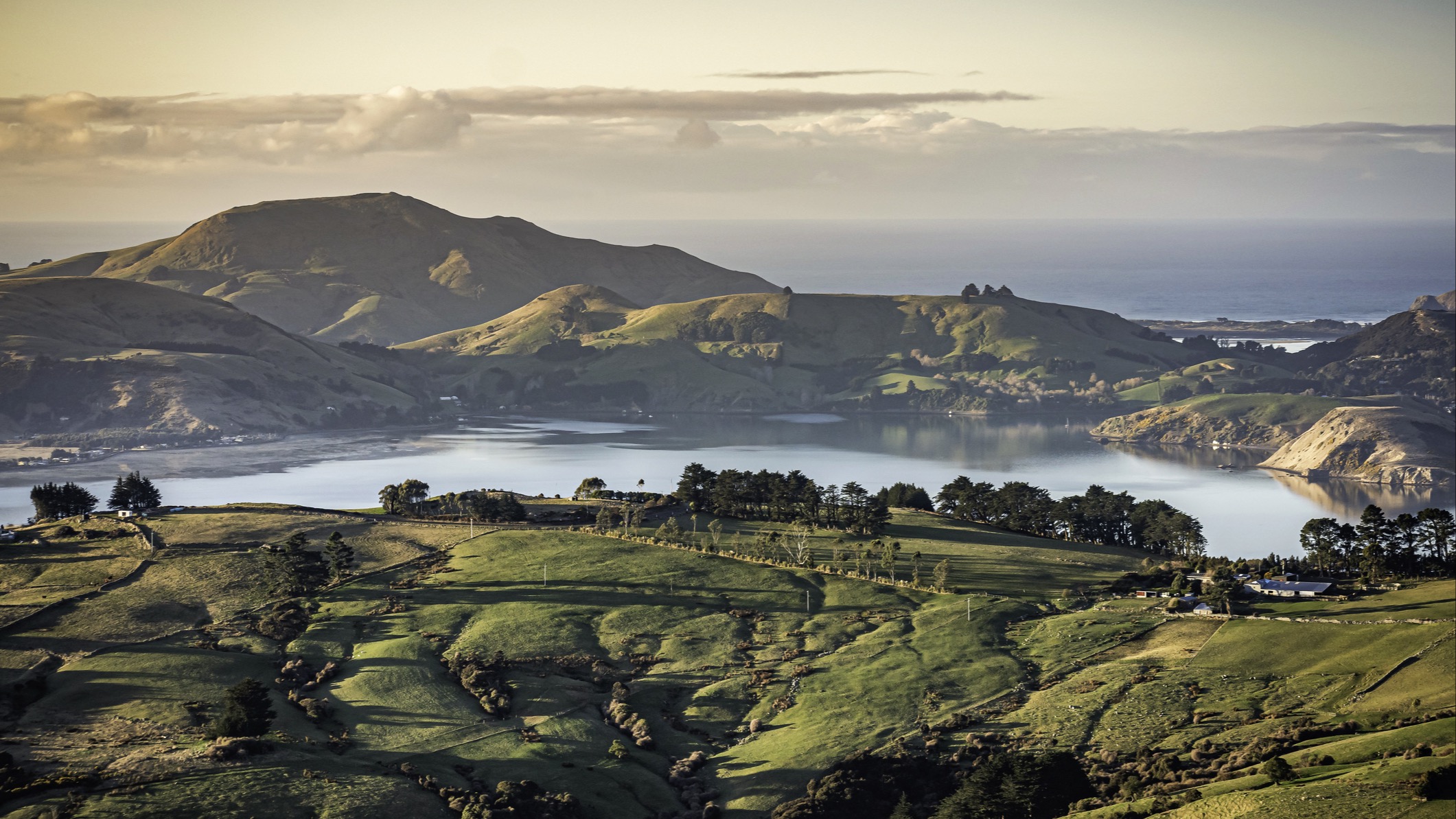 Que faire à Dunedin, les incontournables à découvrir | Tourlane