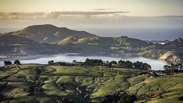 Que faire à Hamilton, les incontournables à découvrir | Tourlane