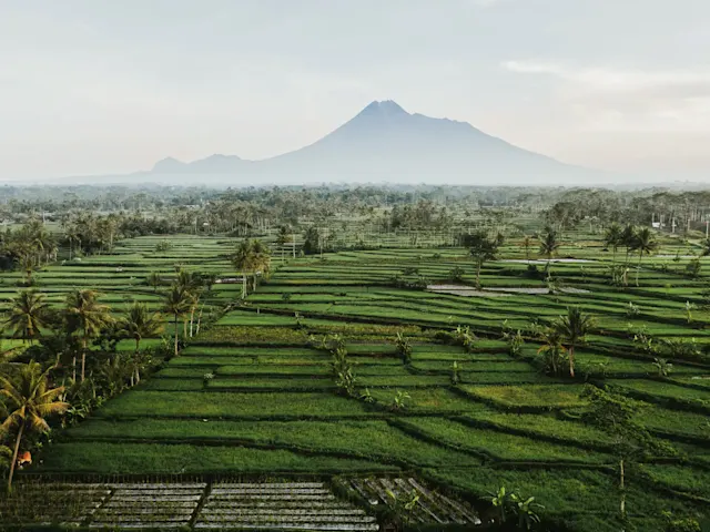 Beste Reisezeit für Bali: Klima, Wetter & Tipps | Tourlane