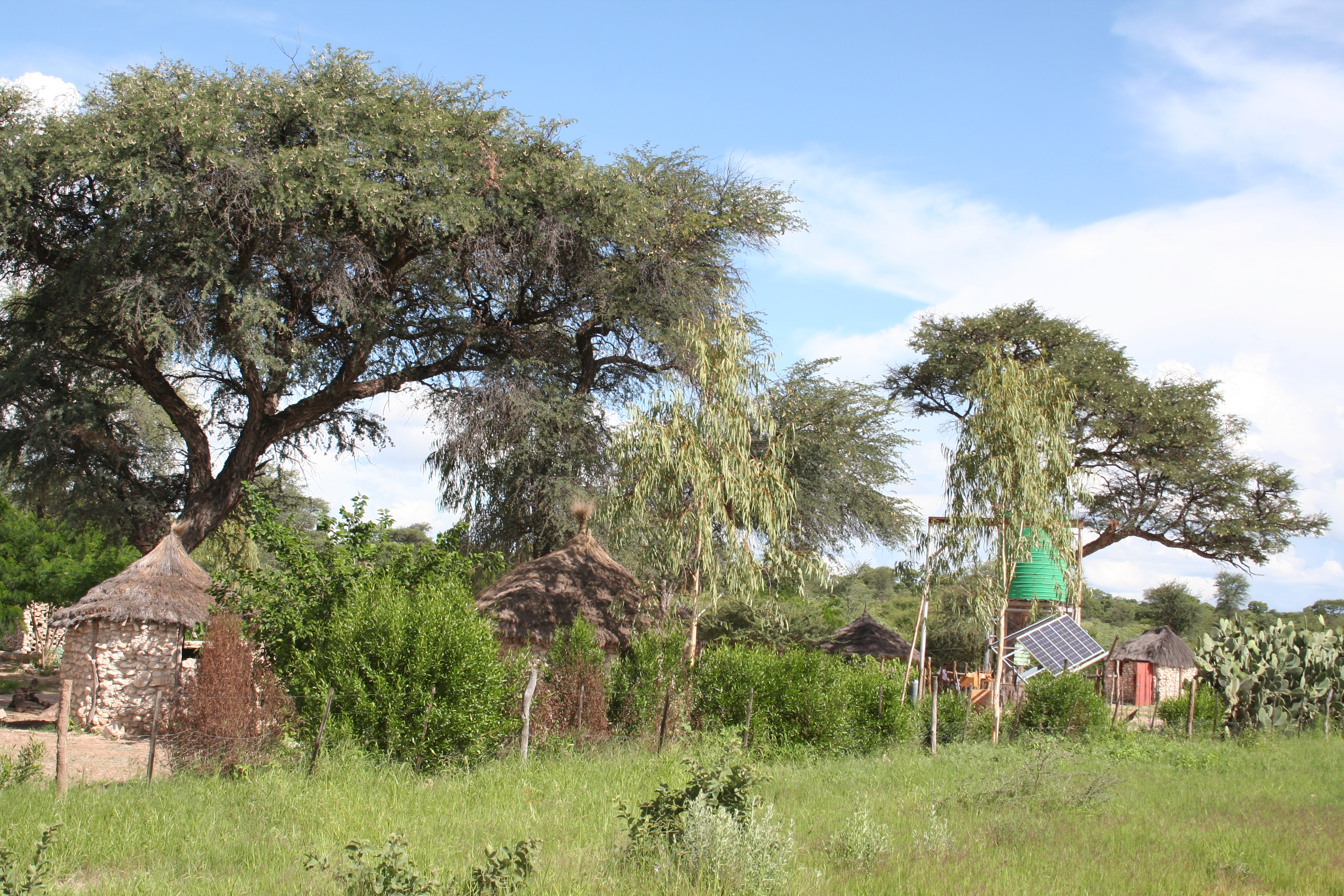Circuit Namibie-Chutes Victoria de 12 jours | Tourlane